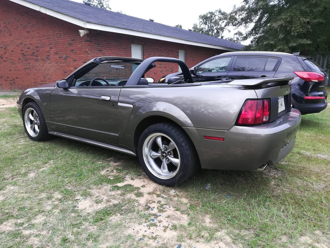 MMD Styling Bar; Charcoal (99-04 Mustang Convertible) | MMD