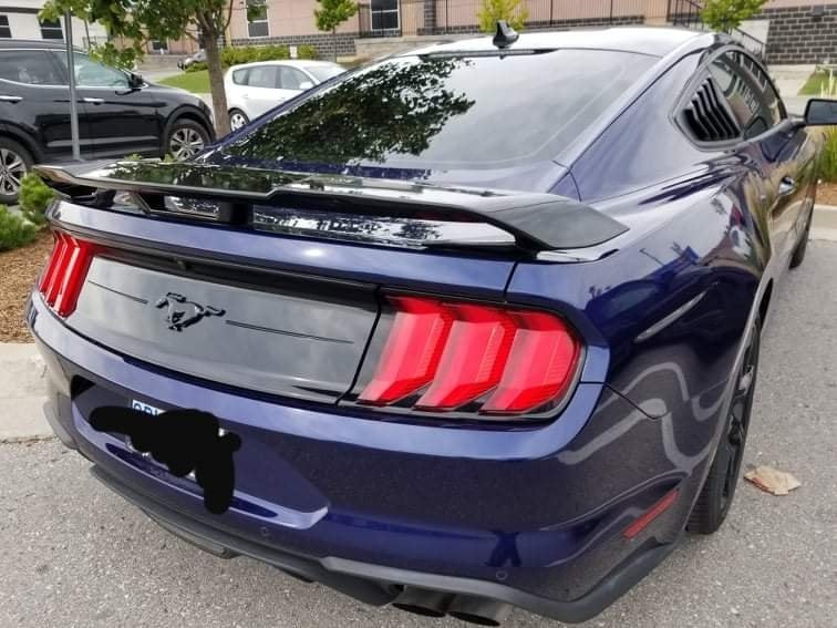 Would I regret it..? : r/Mustang