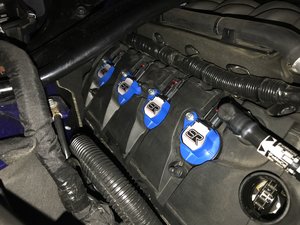 2015-2022 Mustang Coils & Coil Packs | AmericanMuscle