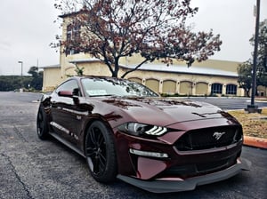 2015-2022 Mustang Chin Spoilers & Front Splitters | AmericanMuscle