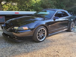 1999-2004 Mustang Mirrors, Mirror Covers & Side Mirrors | AmericanMuscle